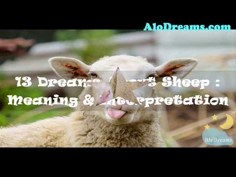 Dream about Sheep - 60 Different Scenarios along with Interpretations