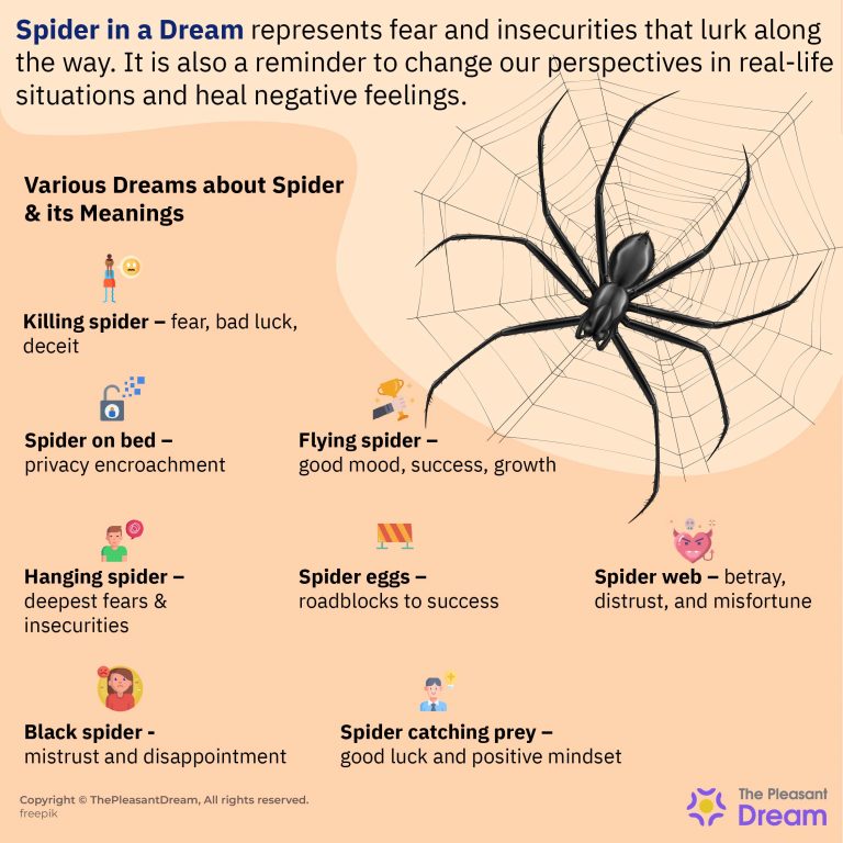 Dreams about Spiders - A Web Of Lies and Conspiracy In Life?