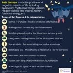 50 Types of Dream about Bats & Their Meanings | ThePleasantDream