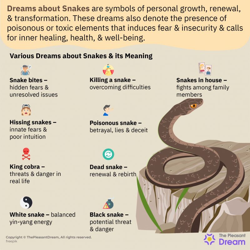 Dreams about Snakes - Does It Denotes Presence of Toxic Elements in Life?