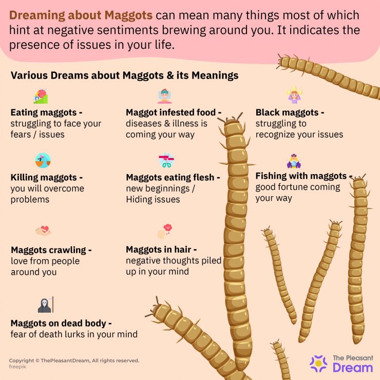 Interesting Meanings of Dreaming about Maggots | ThePleasantDream