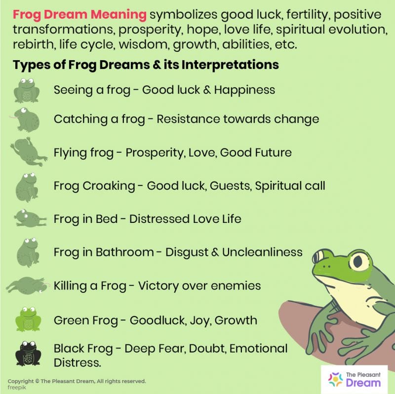 Frog Dream Meaning 63 Dream Scenarios Explained With Meanings Frog Dream Meaning 63 Dream Scenarios Explained With Meanings