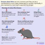Dreaming of Mice - Are You Afraid of Mice in Real Life?