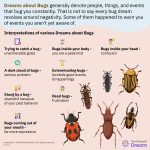 Dreams About Bugs: Minor Issues Are Posing a Greater Threat