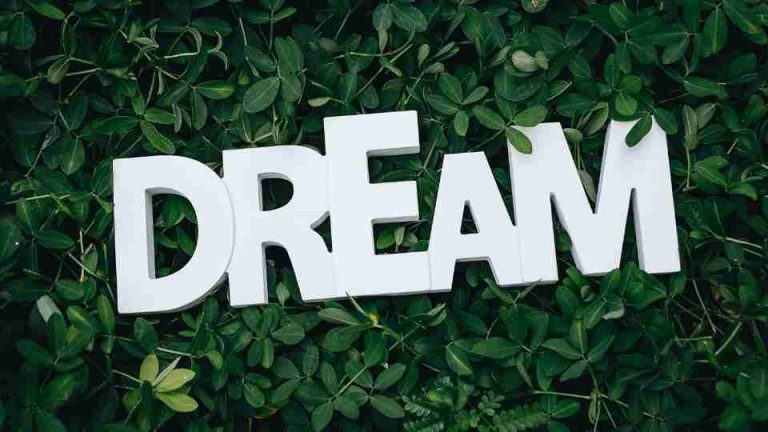 What are Dreams? - Definition, Cause, Duration, Types, and More