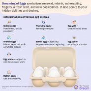 Dreaming of Eggs - Time to Unmask Some Hidden Aspects of Life