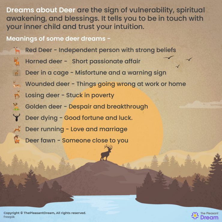 Dream of Deer - 62 Types of Dreams and Their Interpretation