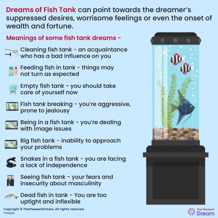 Dream of Fish Tank - 40 Scenarios & Their Interpretations