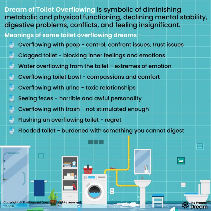 Dream Of Toilet Overflowing - 27 Scenarios & Their Interpretations