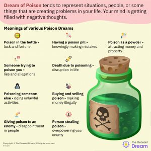 Dream of Poison - Various Plots and their Interesting Interpretations