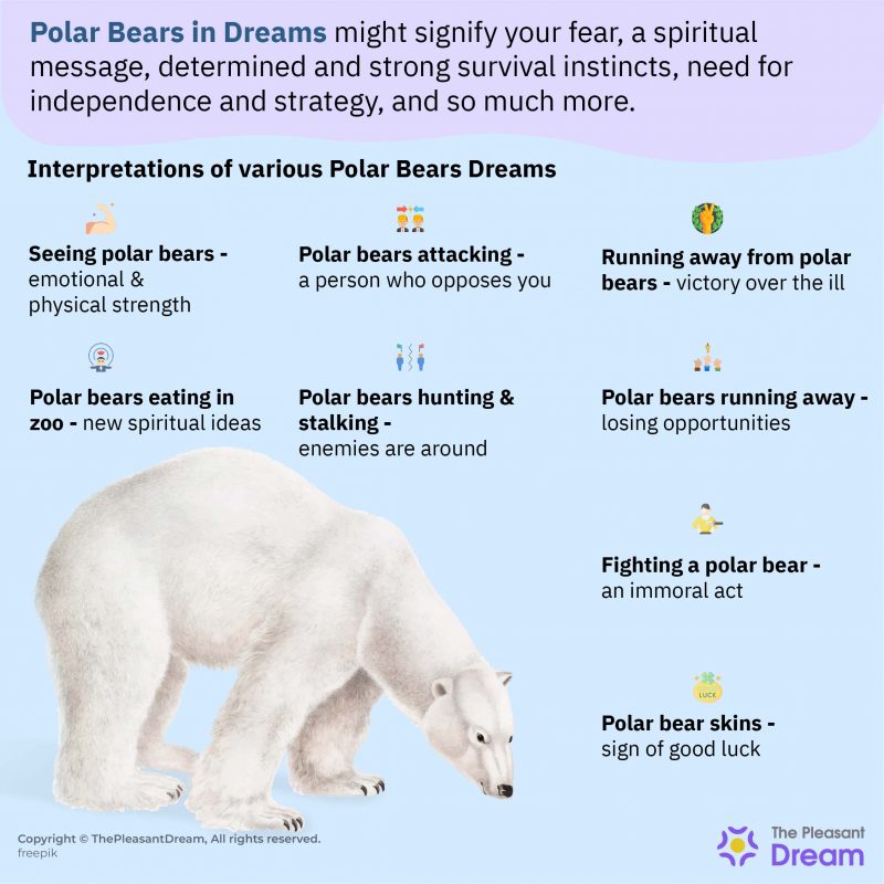 Dreaming About Polar Bears 50 Types Their Interpretations dreaming-about-polar-bears-50-types-their-interpretations