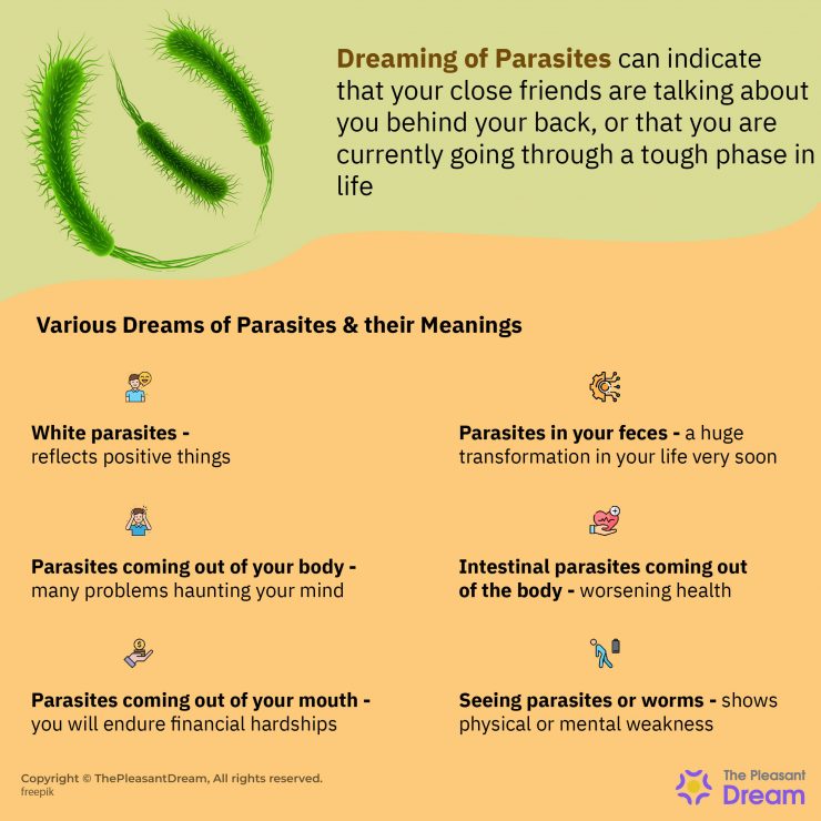 Dreaming of Parasites - Are You Engaging in Self-destructive Behavior?