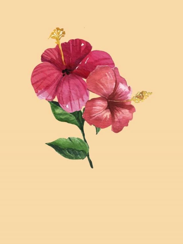 What Does It Mean To Dream Of Flowers ThePleasantDream