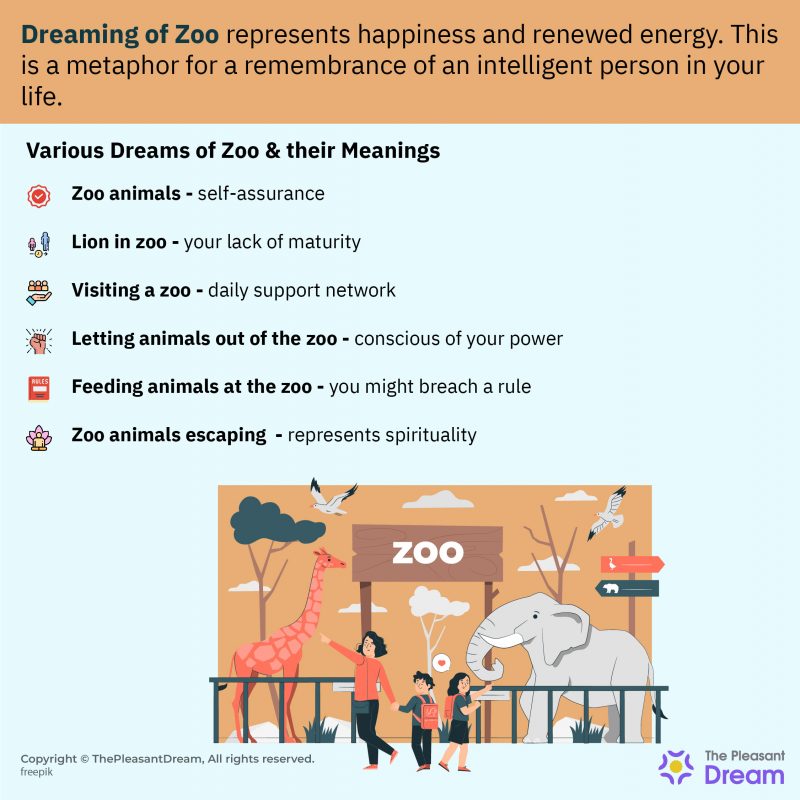 Dreaming of Zoo - Various Scenarios and Their Interpretations