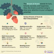 Acorn Dream Meaning - Does It Attempt to Draw Your Attention to ...
