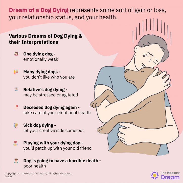 Dream of Dog Dying – You Are Caught In The Vicious Circle of Loneliness