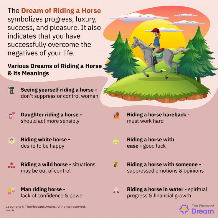 Dream of Riding A Horse – Does It Indicate a Need to Prioritize ...