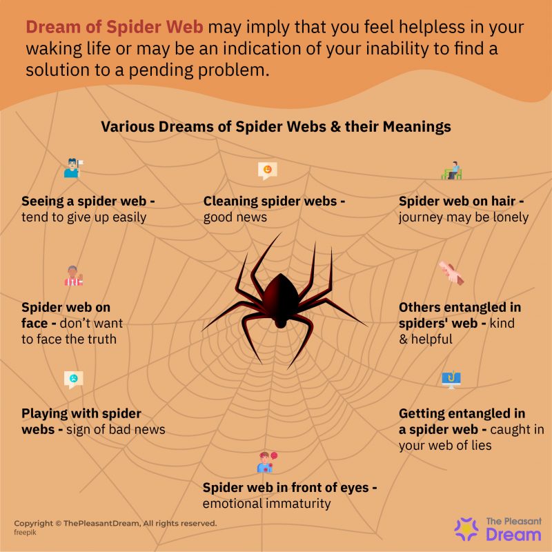Dream of Spider Web – Do You Feel Confined or Trapped?