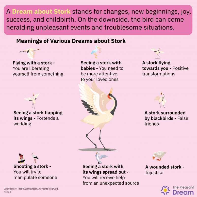 Stork Dream Meaning - Success Is Knocking At Your Door!