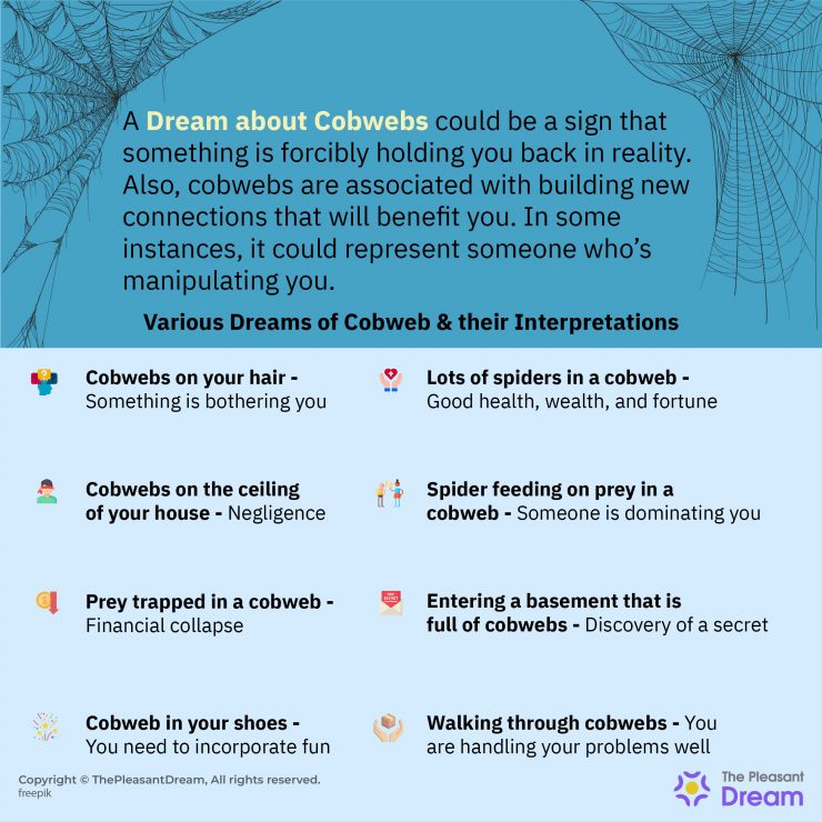 Dream About Cobwebs – Be Cautious of the Trap Ahead