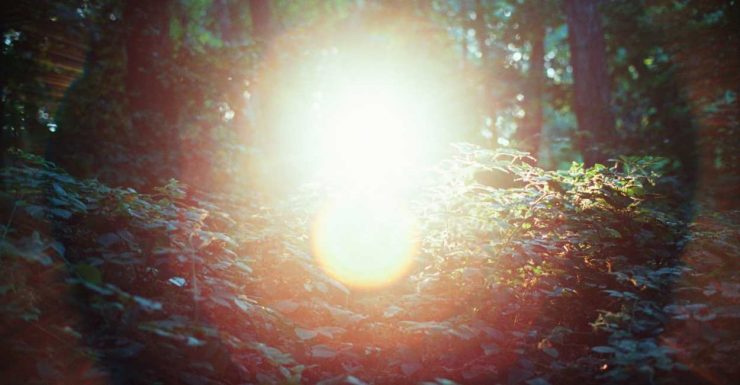 Blinding Light Dream Meaning - Does It Symbolize an Uncomfortable Truth?