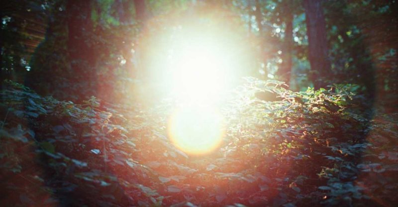 Blinding Light Dream Meaning - Does It Symbolize an Uncomfortable Truth?