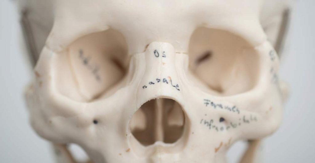 Empty Eye Socket Dream Meaning - Worried about Your Vision?