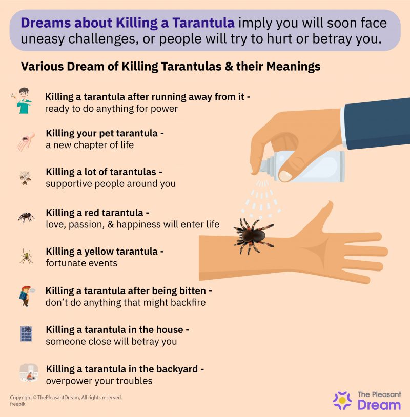 Dream About Killing A Tarantula – You Are On The Path Of Self-discovery
